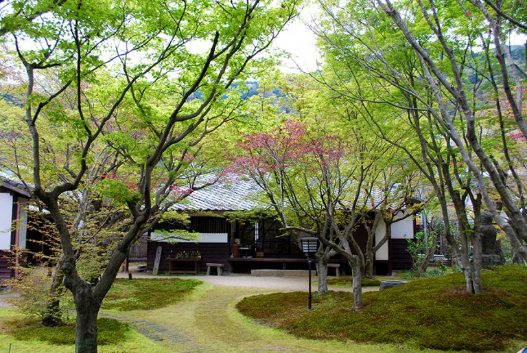 IWAKUNI | Official Tourism Website for Iwakuni City yamaguchi Pref, Japan